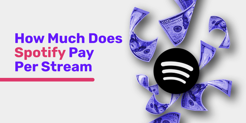 How much does Spotify pay per stream? Streaming payouts comparison [2023] - Blog - FreeYourMusic